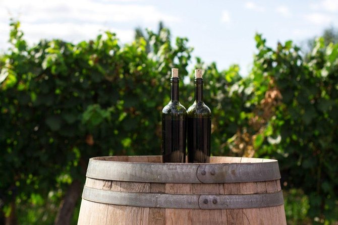 Wines of Wallachia  8 hours - Who Will Enjoy This Tour?