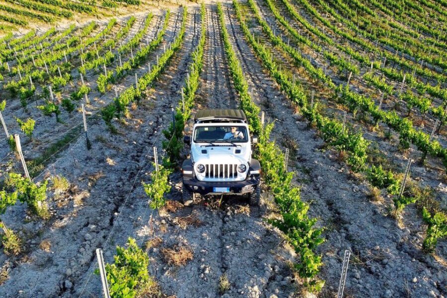 4x4 Jeep Vineyard Safari Tour with Lunch and Wine Tasting - Analyzing the Value and Practical Details