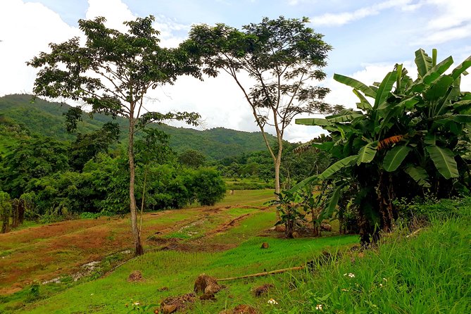 1 Day Trekking Group Tour With Bamboo Cooking / Chiang Rai - Practical Details