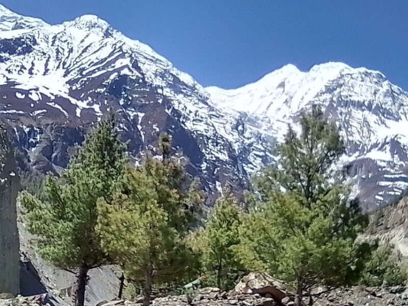 12 Day Annapurna Circuit Trek from Pokhara or Kathmandu - The Sum Up