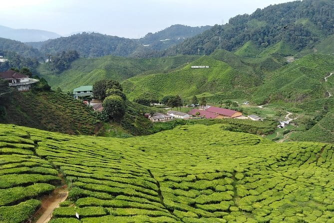 2 Days Private Vehicle With Driver -Explore Malaysia By Your Own Plans - The Sum Up: Is This Tour Worth It?