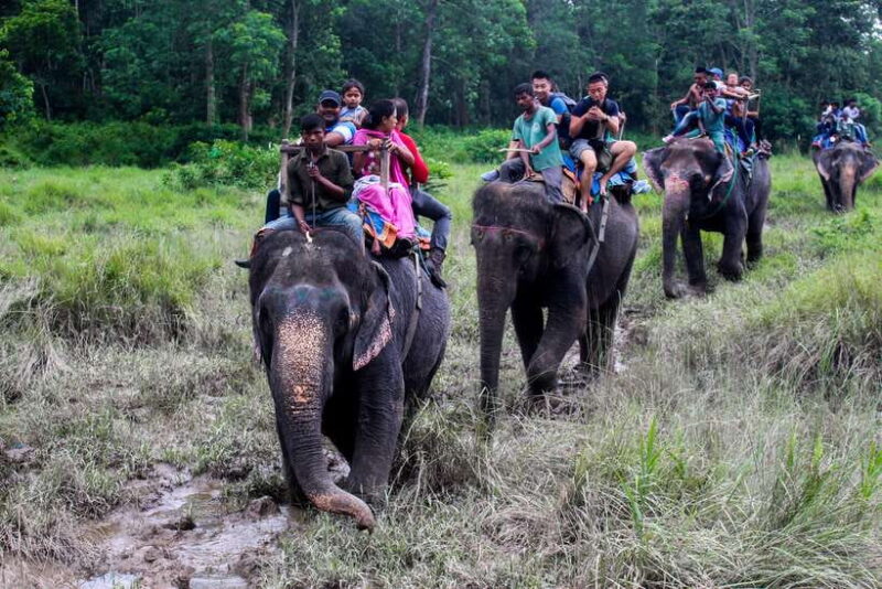 3 Nights 4 Days: Chitwan National Park with Tower Night Stay - Is It Worth the Price?