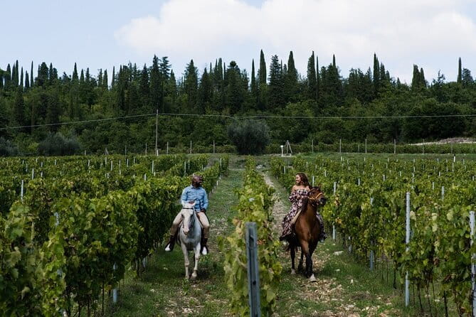 4 Wines & 2 Olive Oils Tasting in Chianti Winery with Tour - FAQ