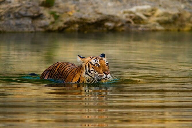 5 Day Sri Lanka Tour : Including Temple of Tooth & Sigiriya Trip - Modern Colombo & Cultural Heritage