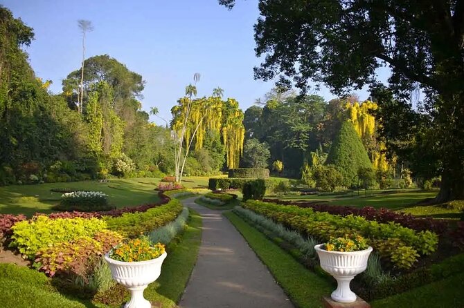 All Inclusive Kandy Private Day Tour From Colombo and Negombo - The Sum Up: Who Is This Tour Best For?