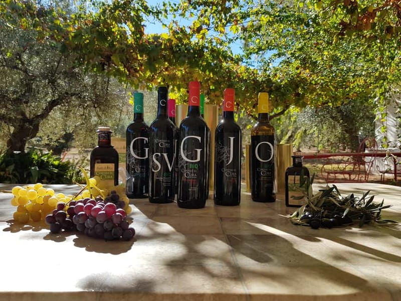 Almería: Wine tour and aperitif from La Alpujarra in Winery - Final Word