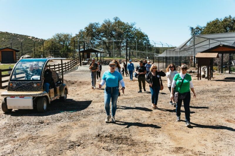 Alpine: Lions Tigers & Bears Sanctuary Visit and Feeding - FAQ