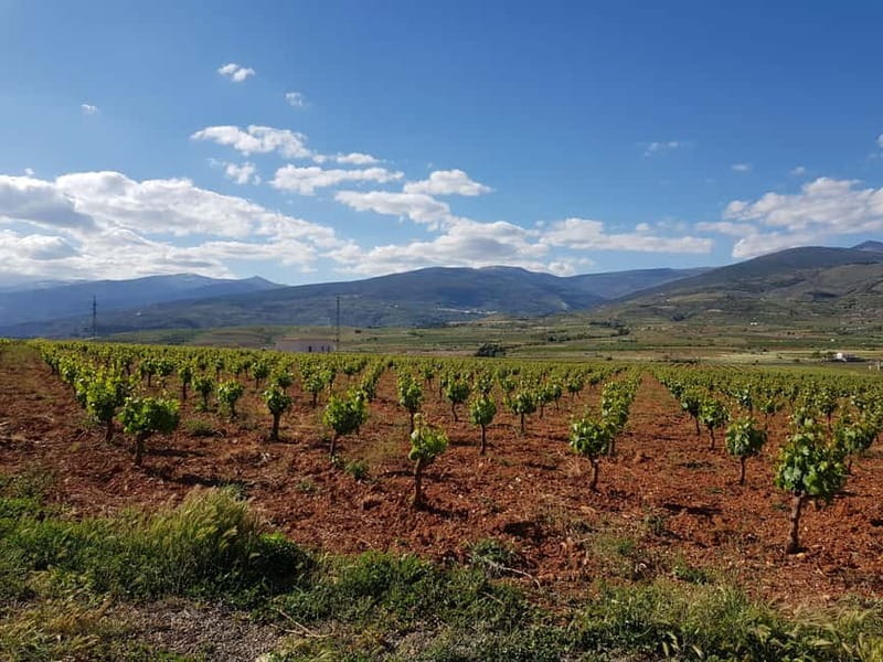 Alpujarra of Almería: Organic Wine tour and local aperitif - Frequently Asked Questions (FAQs)