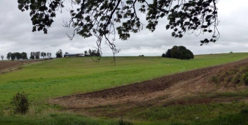 Amiens, Australian Imperial Force on the Somme in WWI - Analyzing the Cost and Value