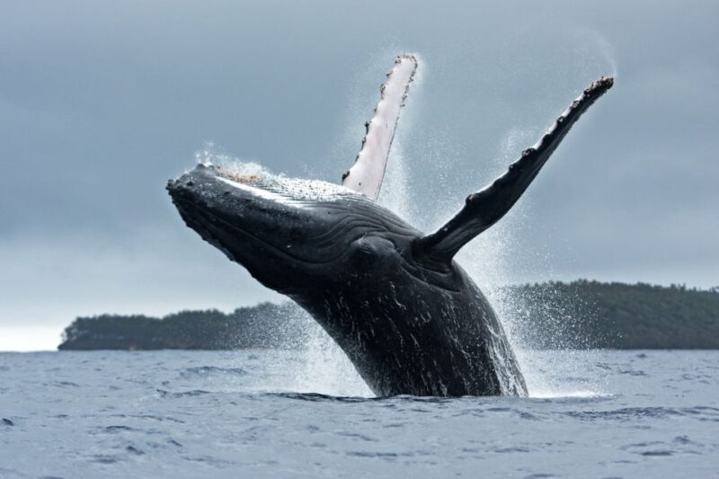 Anchorage: Kenai Fjords & Denali National Park 5 Day Tour - FAQ