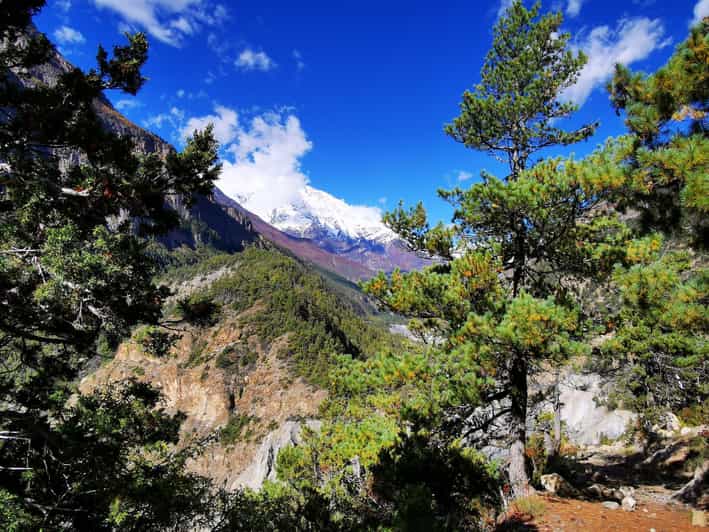 Annapurna Circuit Trek 10 Days From Kathmandu or Pokhara - Experience Provider and Booking