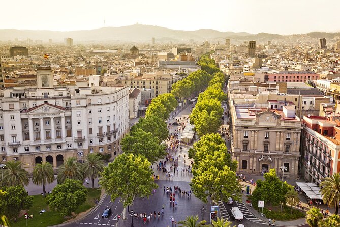 Arrival Transfer from Barcelona Airport BCN to Barcelona in Private Car/Van - Final Thoughts