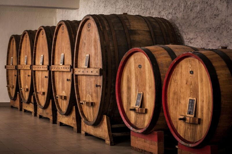 Assisi: Organic Wine and Cheese Tasting - Final Thoughts: Is It Worth It?