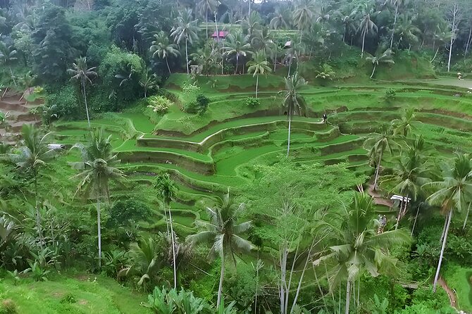 Ayung River Rafting and Ubud Waterfall Tour - Frequently Asked Questions