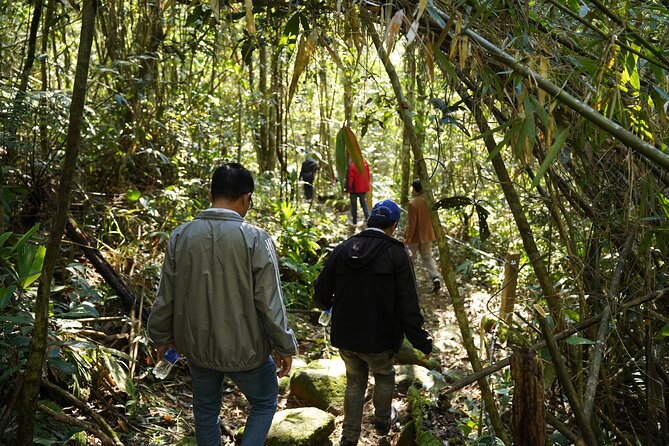 Bach Ma National Park trekking daily tour from Da Nang, Hoi An - Summary of Pros and Cons