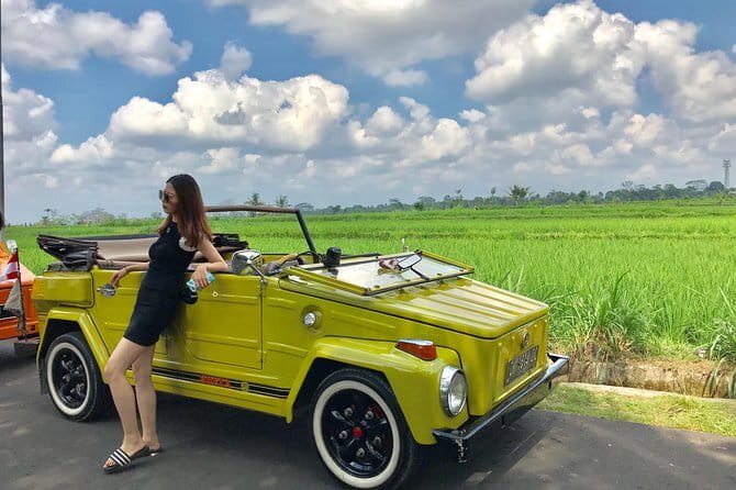Bali Tour Driver - FAQ
