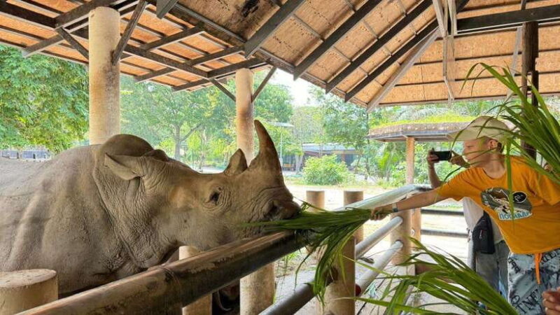 Bangkok: Elephant Sanctuary and Khao Kheow Open Zoo Tour - Frequently Asked Questions