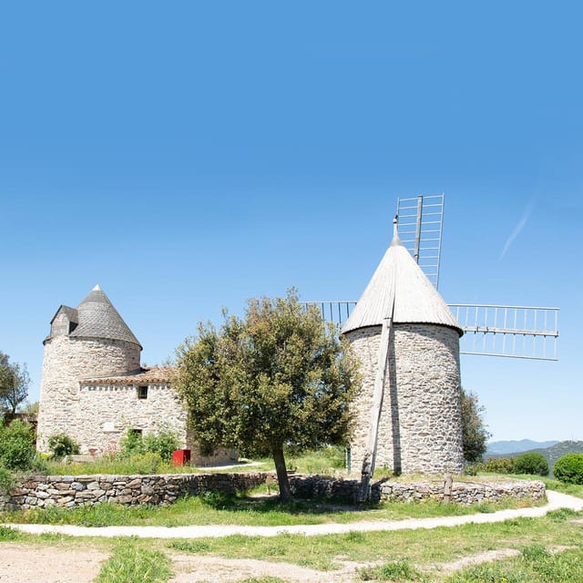 Béziers : Wine Tours & Wine tasting - The Sum Up