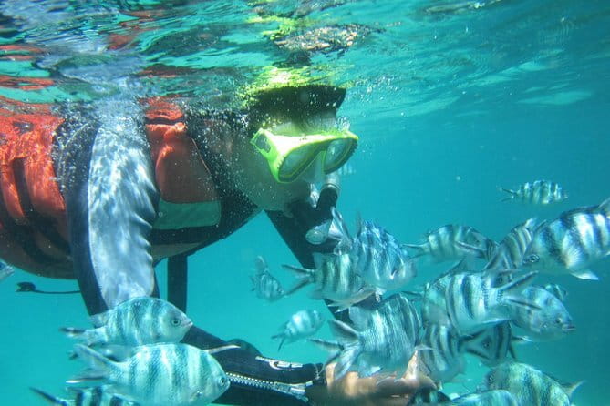 Blue Lagoon Snorkeling and Lunch with Visit Waterfall in Ubud - What Makes This Tour Stand Out?