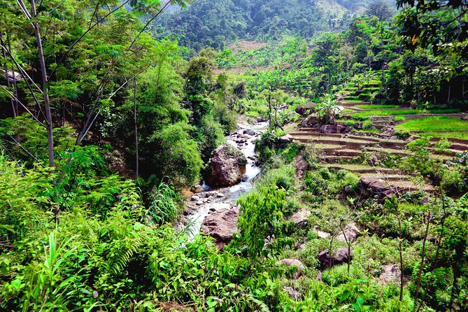 Bogor Botanical Garden & Rainforest Trekking to Hidden Waterfall - The Logistics – What to Expect