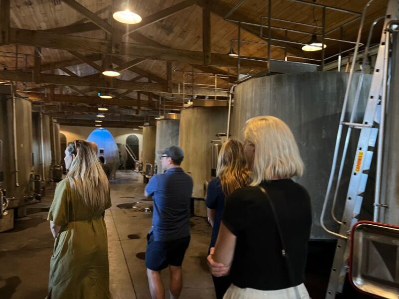 Bordeaux: Medoc tour in a small group (Luxury Mercedes EQV) - Final Thoughts: Is It Worth It?