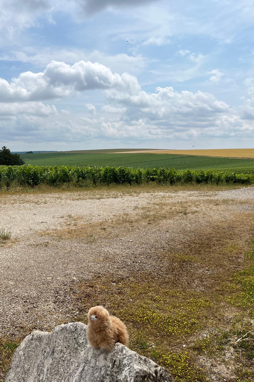 Bordeaux Private Walking & Tasting Tour - FAQ