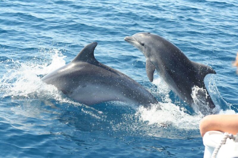 Cagliari: Private or Small Group Fishing Trip Experience - Who Should Consider This Tour?