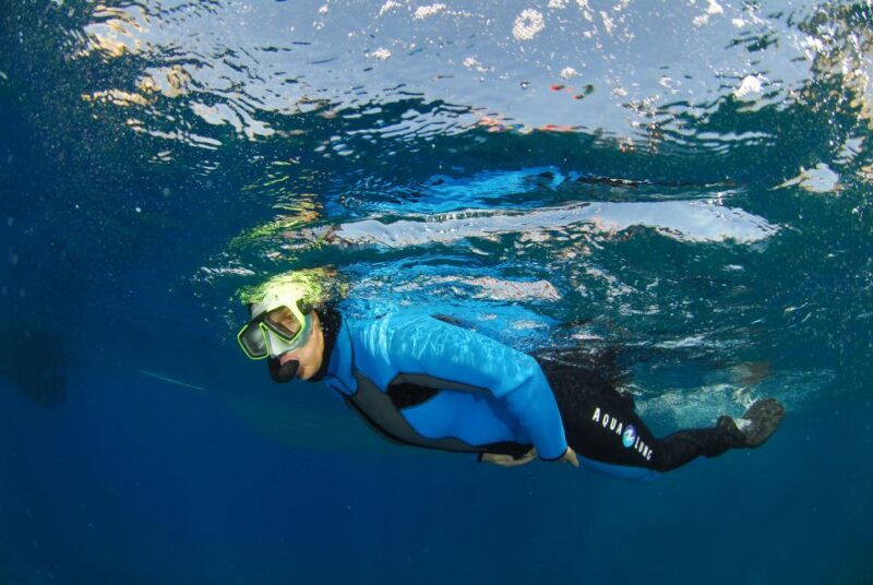 Calvi: Pointe de la Revellata Snorkeling Boat Tour - Authentic Experiences and Real Feedback