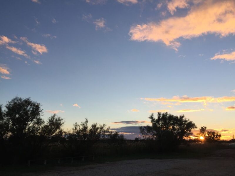 Camargue: Safari from Saintes-Maries-de-la-Mer - Authentic Perspectives from Travelers