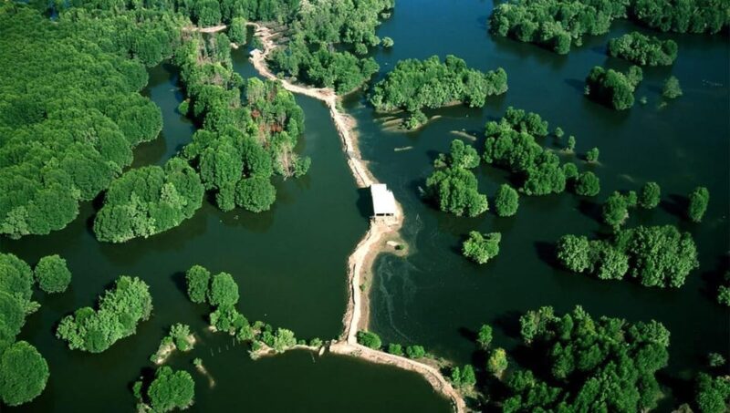 Can Gio Mangrove Forest - Lunch and Leisure Time
