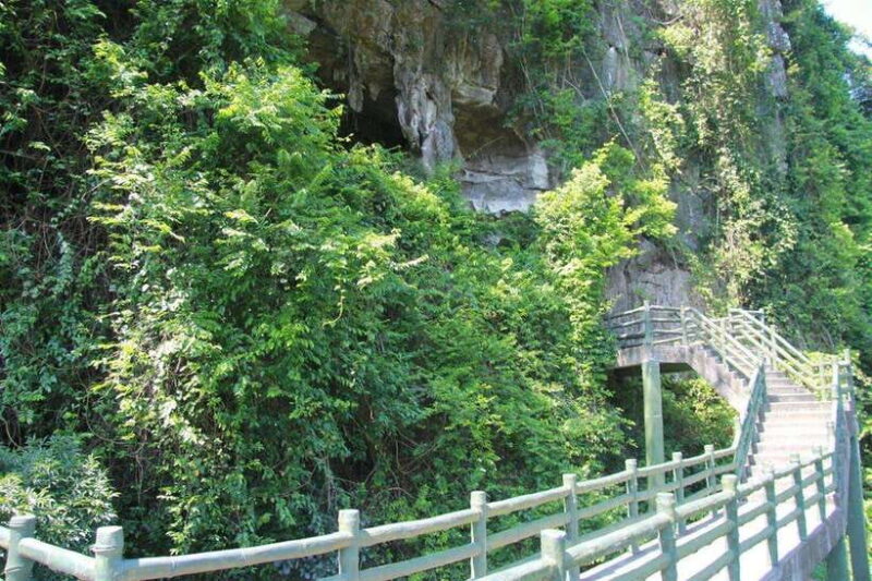 Cat Ba 2 days trip: Luxury cruise, national park & beach - The Sum Up