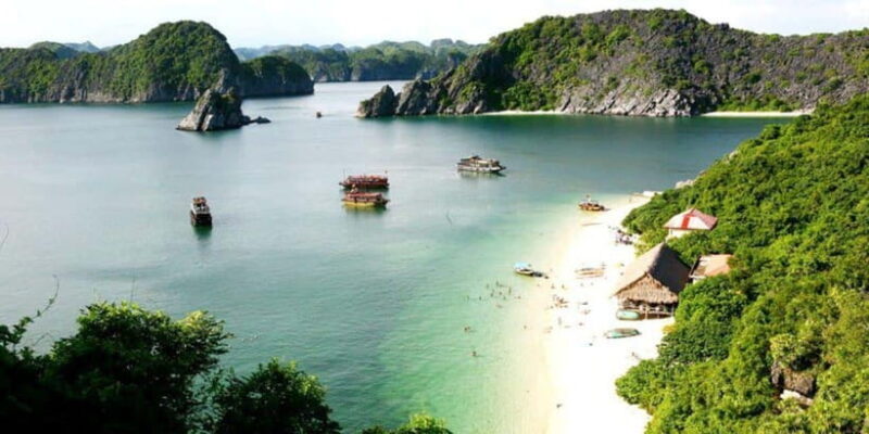 Cat Ba : Lan Ha Bay Bioluminescent Plankton Kayak Boat Tour - Final Thoughts
