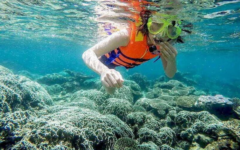 Cham Island Tour: Snorkeling & Spa from Da Nang/Hoi An - The Sum Up