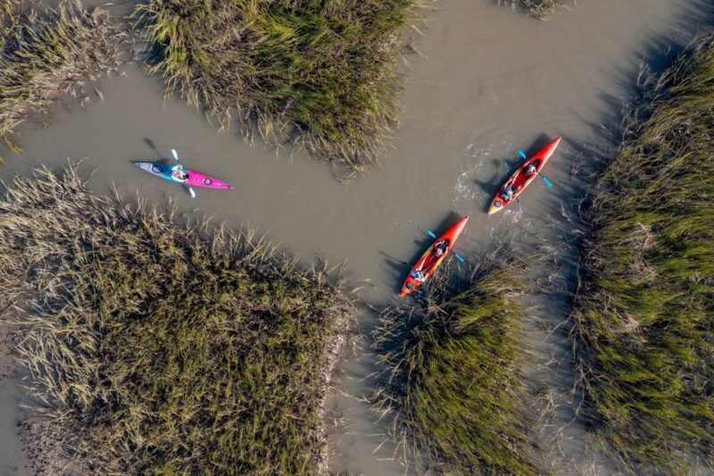 Charleston: Folly Beach Afternoon Kayak Dolphin Safari - Final Thoughts