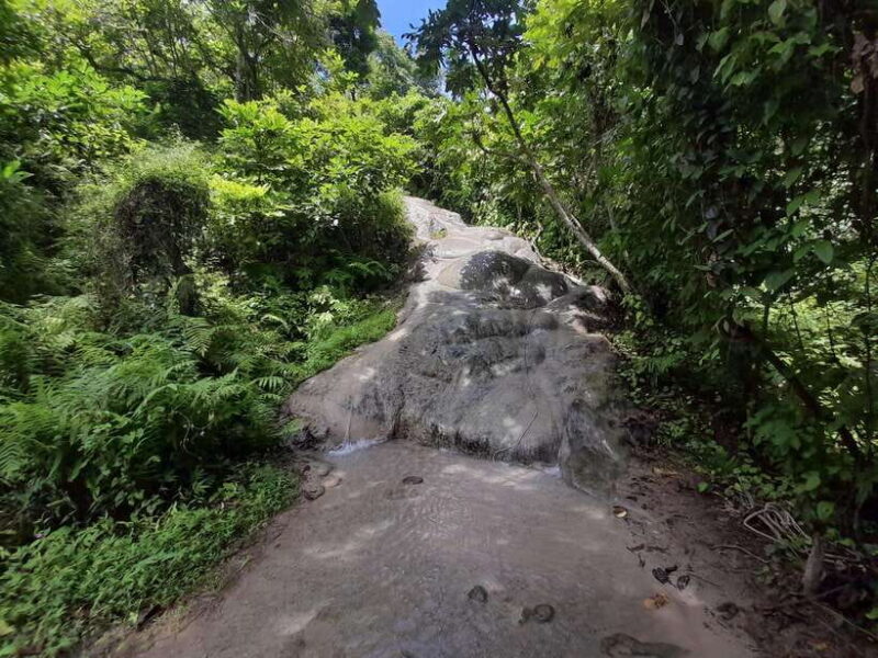 Chiang Mai: 4-Hour Sticky Waterfall Private Tour - Final Thoughts: Who Should Book This Tour?