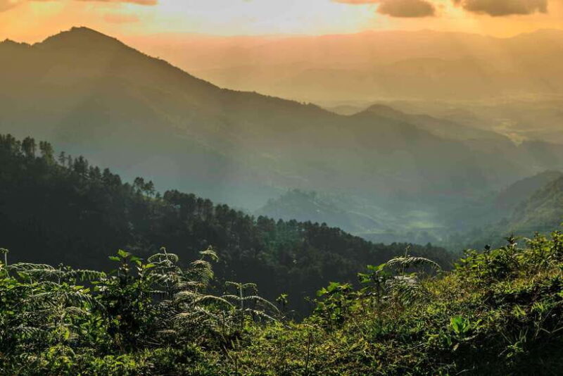 Chiang Mai: Doi Inthanon Park Tour & Kew Mae Pan Trail Hike - The Sum Up