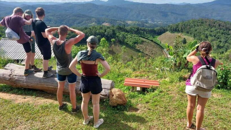 Chiang Mai: Jungle Trek, Elephants care & Bamboo Rafting - The Sum Up