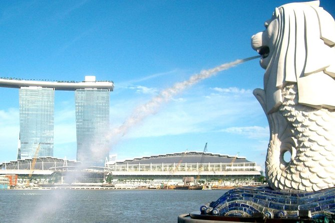 City Tour+Gardens by the Bay(FlowerDome&JurassicWorld) Transfers - The Sum Up