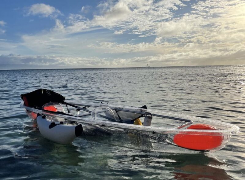 Clear Bottom Glassy Kayak Rental | Safe and Stable Kayaks - The Sum Up: Who Should Consider This Experience?