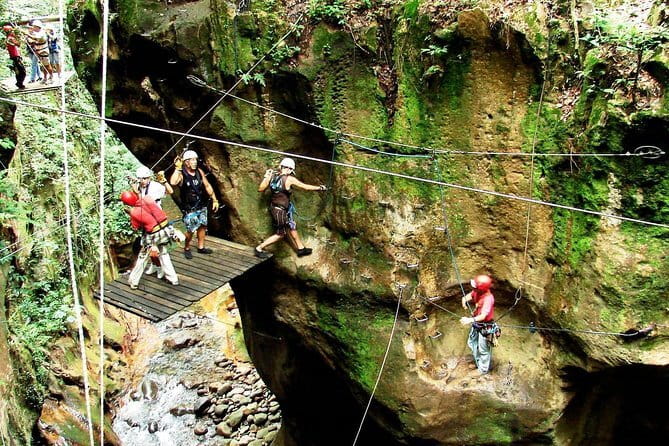 Coffee & Chocolate Tour+Sloths Park & Llanos de Cortez Waterfall - The Sum Up