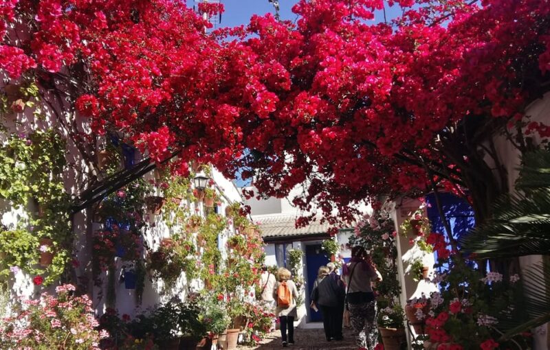 Cordoba Courtyards by Bike, Electric Bike - The Practicalities: What You Need to Know