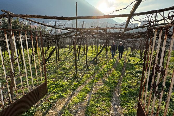 Craftsmanship and Flavors of Sorrento and Amalfi Coast - FAQ