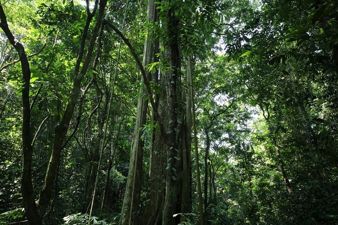 Cuc Phuong National Park Private Day Tour: Trekking & Primates - FAQ