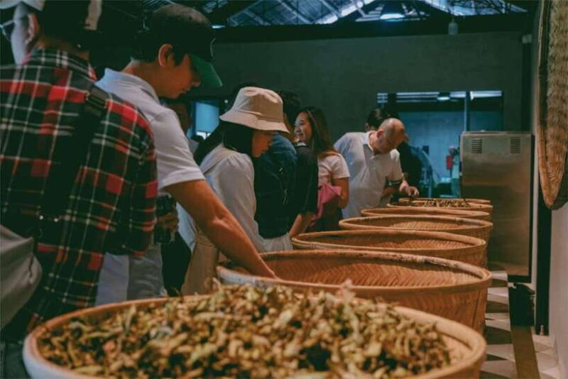Da Lat: Cloud Hunting, experience Da Lat special products - What Does This Tour Really Offer?