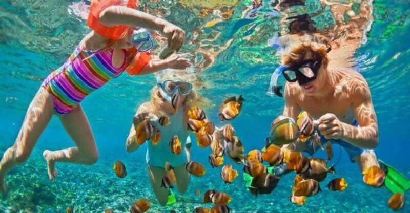 Da Nang: Cham Island Boat Day Trip with Snorkeling and Lunch - The Sum Up