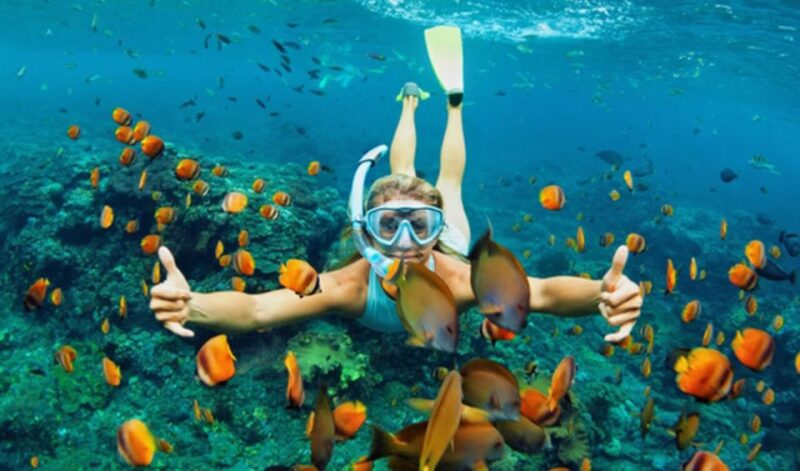 Da Nang/Hoi An: Discovery Cham Island and Snorkeling 1 day - Authentic Experiences and What’s Missing