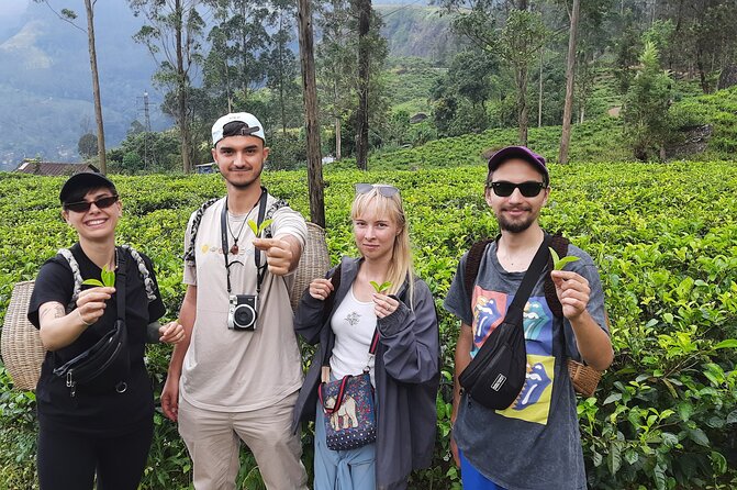 Day tour to Nuwareeliya (Little England) from Kandy - Authentic Experiences and Insights