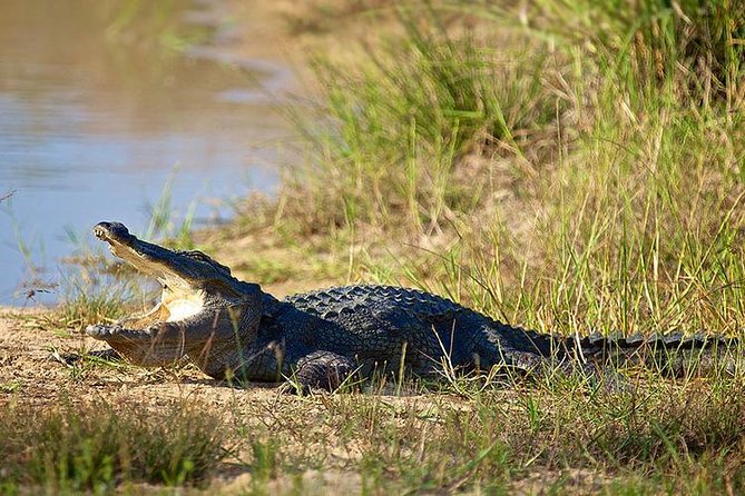 Day Tour to Wilpattu National Park from Colombo - The Sum Up: Is This Tour Right for You?