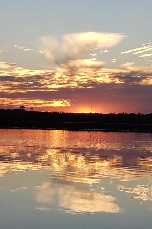 Daytona/New Smyrna Beach: Unforgettable Kayak Wildlife tours - Who Will Enjoy This Tour Most?