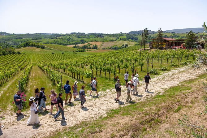 Discover Lucca and Pisa and Enjoy Buccellato Cake: Full Day Tour - The Sum Up